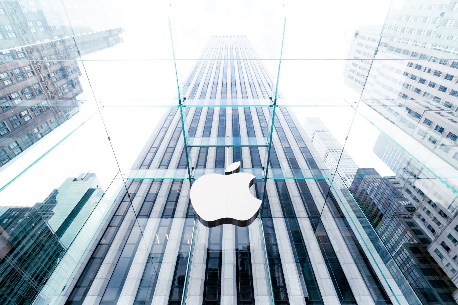 Apple inc company store